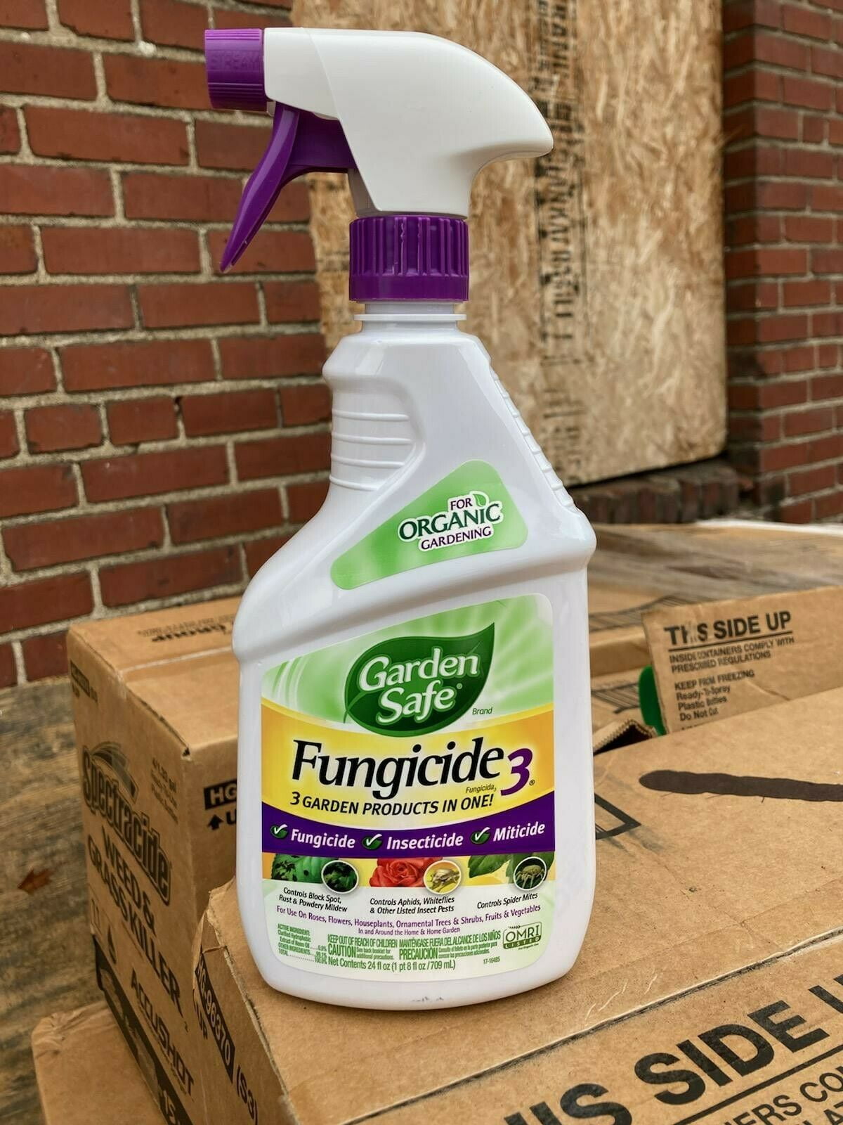 Buy 1 CASE OF 6 Fungicide3 Ready-to-Use Insecticide and Miticide Spray ...