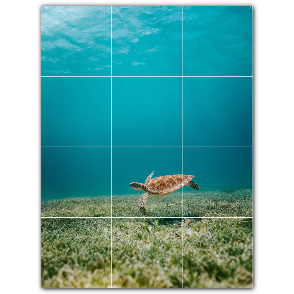 Picture-Tiles.com: Turtle Ceramic Tile Wall Mural WAL501051-34L. 24"W x ...