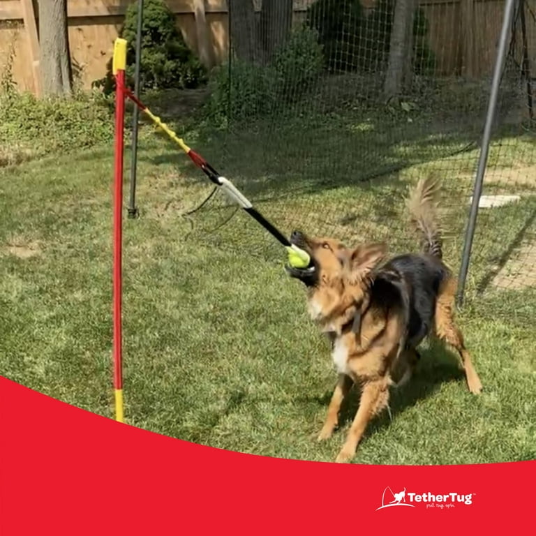 Tether Tug Tennis Ball Lovers Outdoor Pole Rope Toy For Big