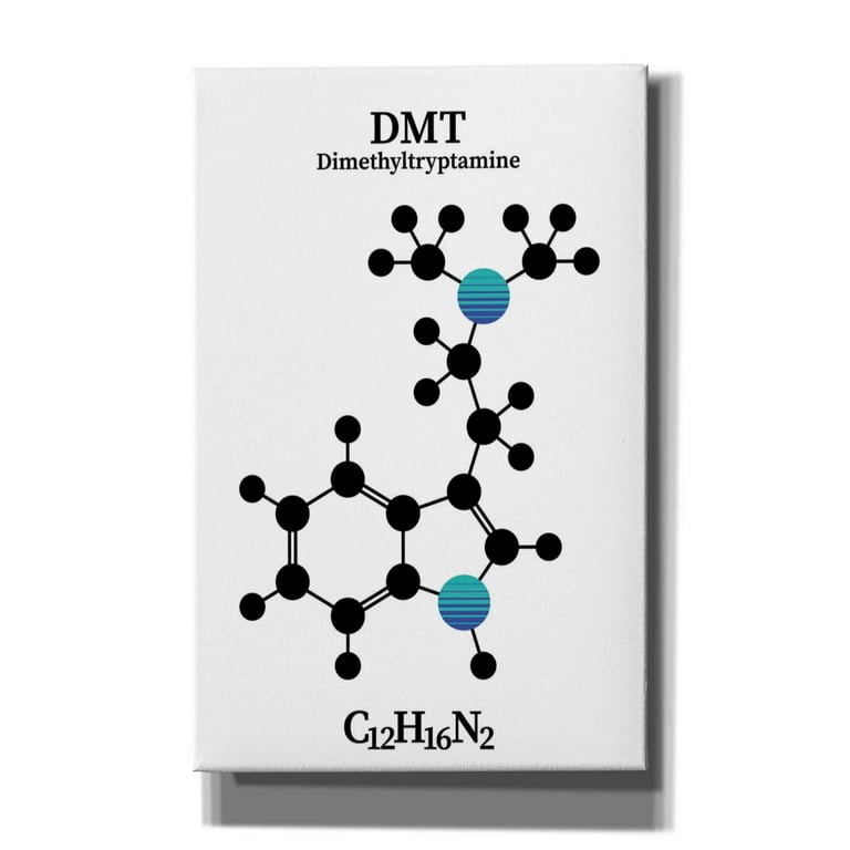 Dimethyltryptamine Molecule