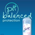 Secret Solid Antiperspirant and Deodorant Shower, Powder Fresh, 1.7 oz ...