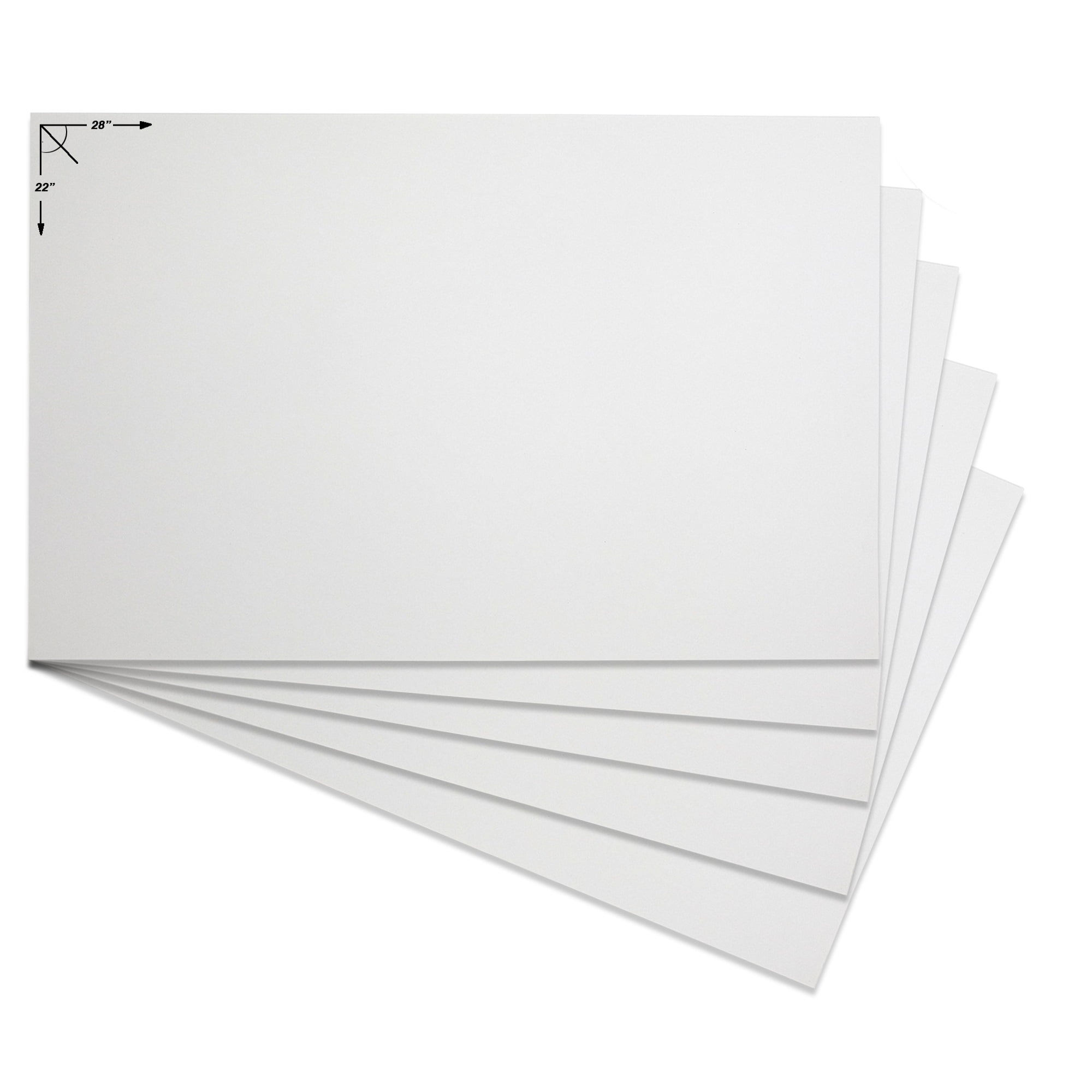 Blank Poster Board