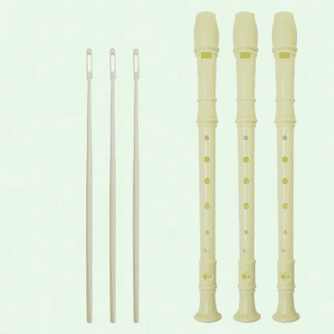 HOKARUA 1 Set Soprano Recorder Practice Recorder Plastic Flute 8-hole ...