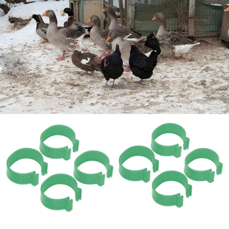 Chicken Feet Ring, Duck Feet Ring, 100 Pcs Poultry Feet Ring Open Type ...