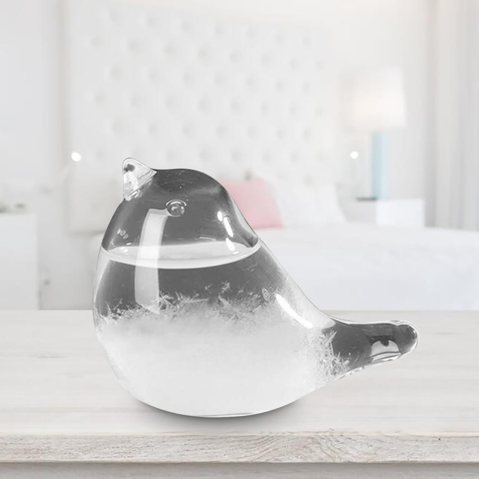 Glass Weather Barometer