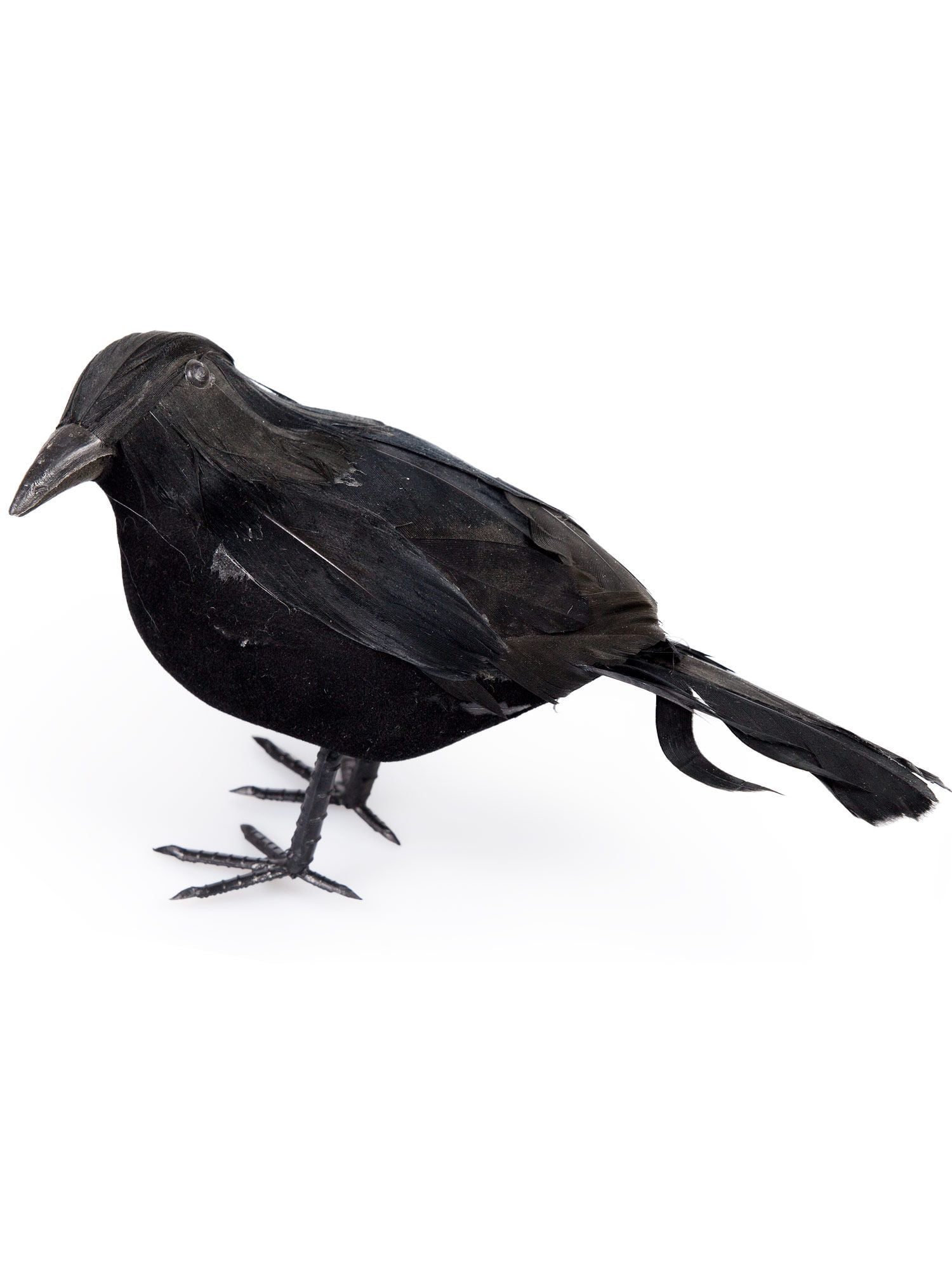 Small Black Crow - Walmart.com