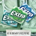 Extra Gum Variety Pack – 18 Packs With 15 Gum Sticks Each – Polar Ice ...