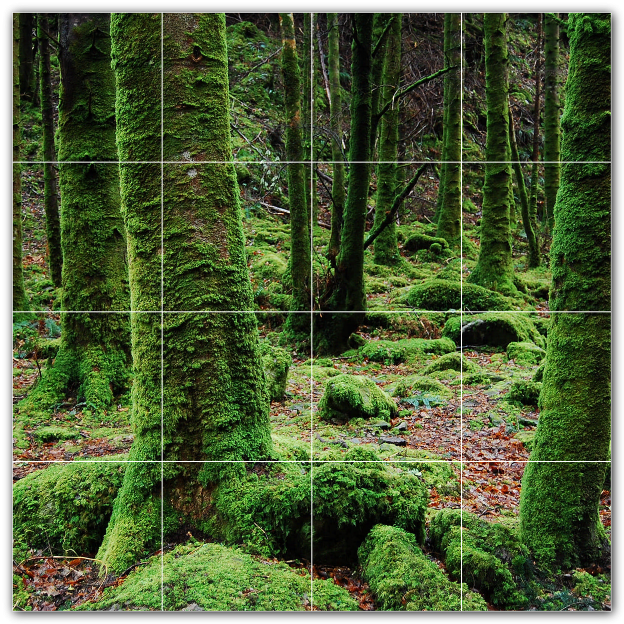 Picture-Tiles.com: Trees Ceramic Tile Wall Mural WAL501028-44L. 32"W x ...