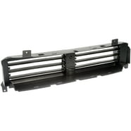 Dorman 601-362 Radiator Shutter Assembly for Specific Ford Models ...
