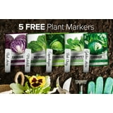 Cabbage Seed Assortment | 5 Variety Pack - Walmart.com