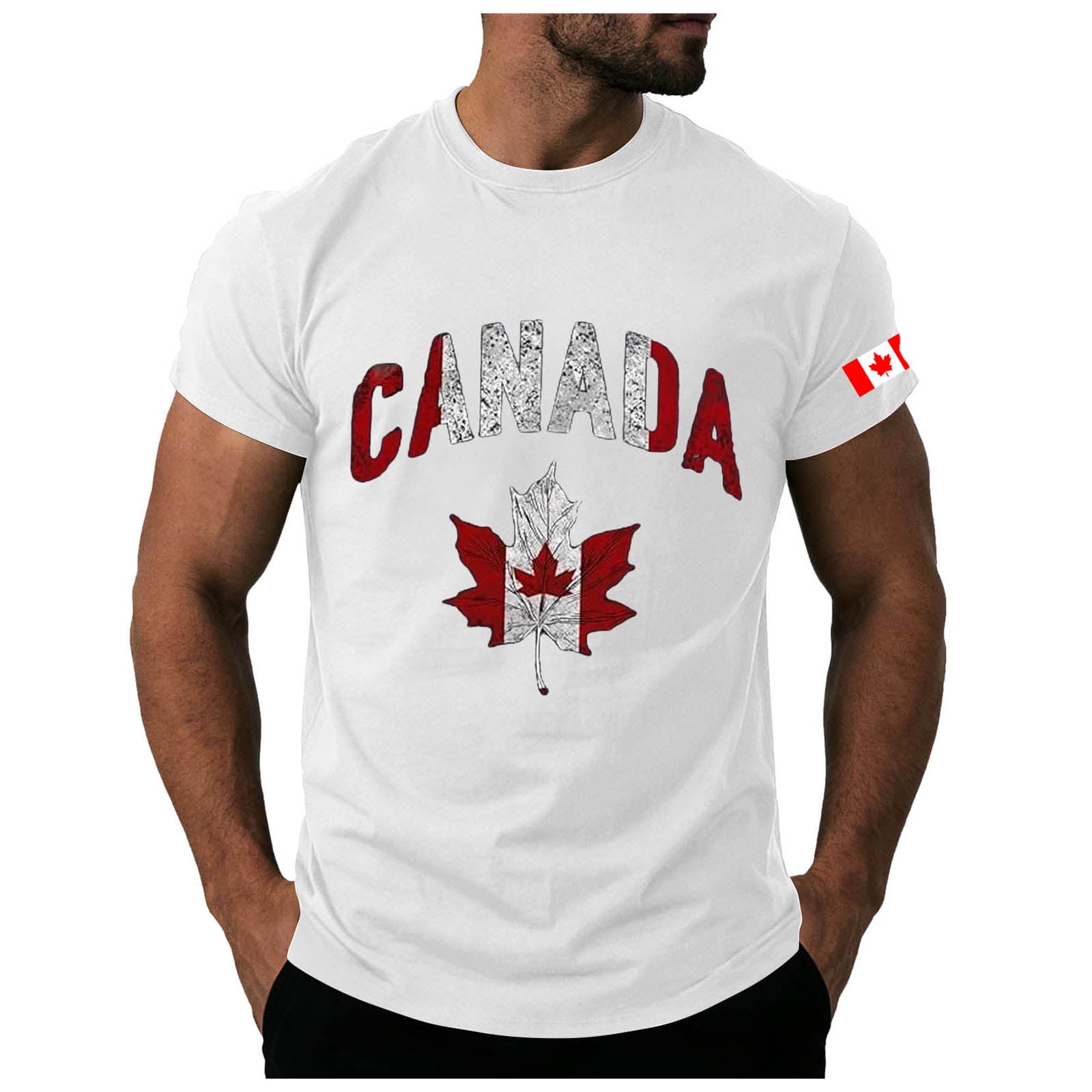 Click here for Ramiter Mens Canada Day T-Shirt Distressed Print M... prices