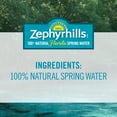 ZEPHYRHILLS Brand 100% Natural Spring Water, 16.9-ounce plastic bottles ...