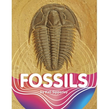 Digging Up Bones! Famous Archaeology Discoveries - Archaeology for kids ...