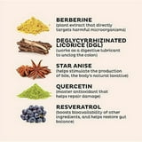 EMMA Bowel Health Supplement For Gut Health And Bloating Constipation ...