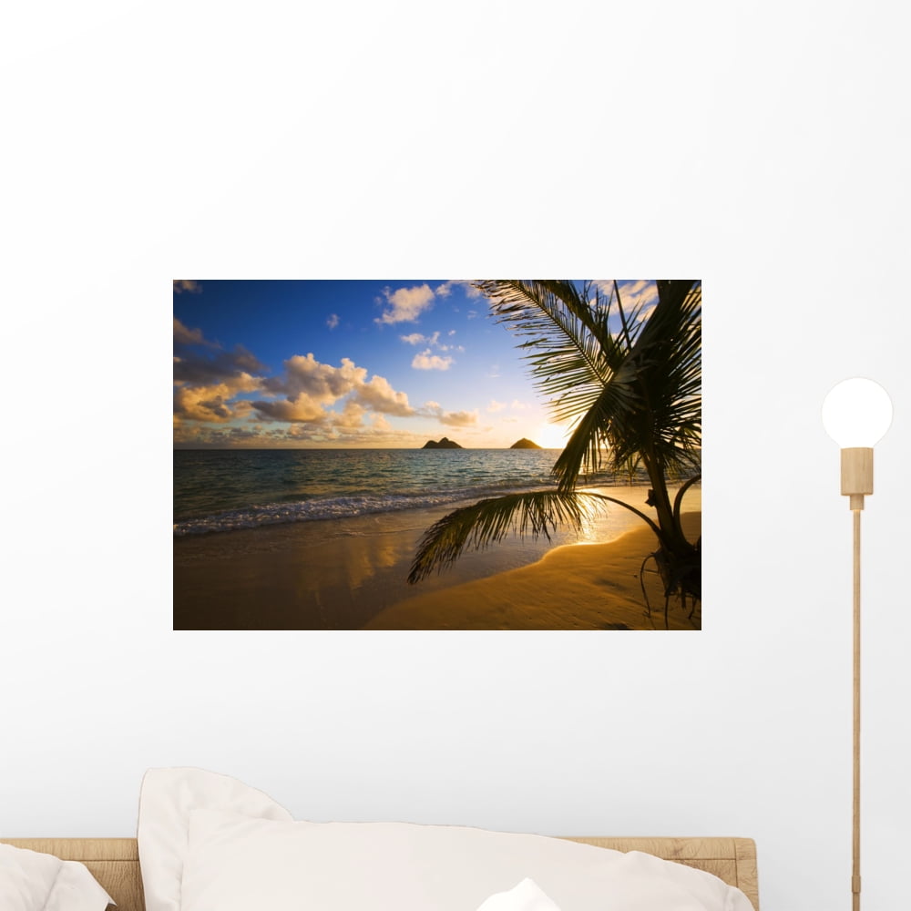 Tropical Sunrise Hawaii Beach Wall Mural by Wallmonkeys Peel and Stick ...