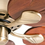 Prominence Home Willow View 52" Aged Brass Tropical Ceiling Fan with 5 ...