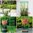 Climbing Vine Stand Tomatoes Plant Trellis Garden Plant Support Round ...