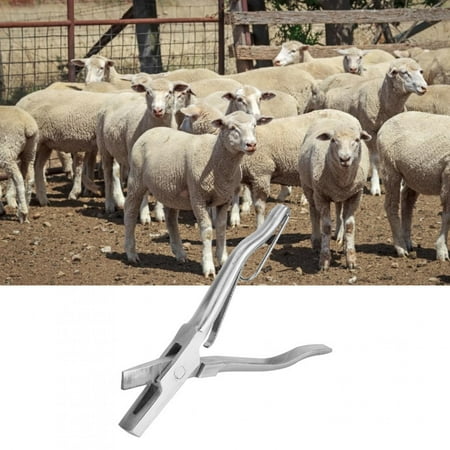 Demonsen Stainless Steel V-Shape Ear Tag Tongs For Pig Animal Livestock ...