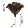 2026 Ostrich Feather Duster 14 Inch Fluffy Natural with Wood Handle ...