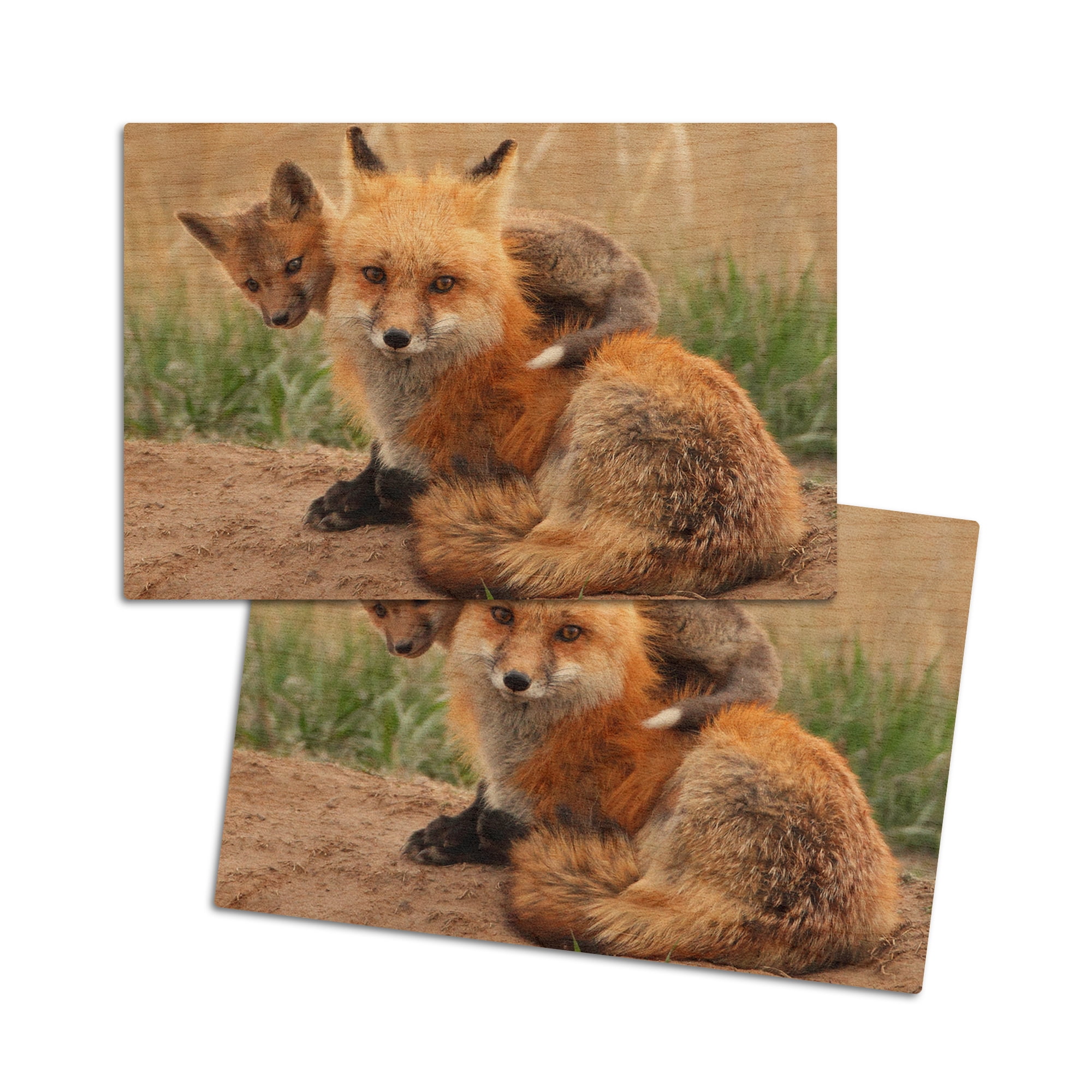 Fox and Kit (4x6 Birch Wood Postcards, 2-Pack Stationary, Rustic Home ...