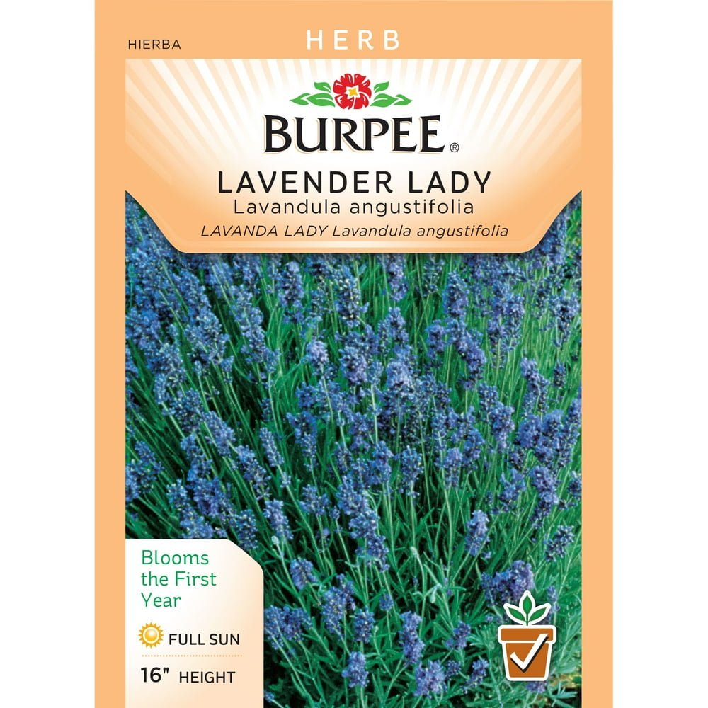 Burpee Lady Lavender Herb Seed, 1-pack - Walmart.com - Walmart.com