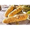 Ambrosia Hybrid Sweet Corn, 50 Seeds Per Packet, Non GMO Seeds ...