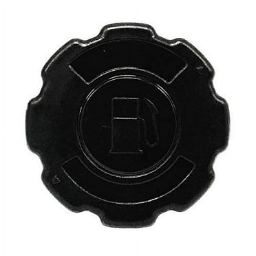 POWER PRODUCTS Inlet & Exhaust Valve with 5.5mm Diameter stem for ...