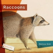 Muddy : The Raccoon Who Stole Dishes (Hardcover) - Walmart.com