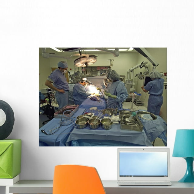 Operating Room Wall Mural by Wallmonkeys Peel and Stick Graphic (24 in ...