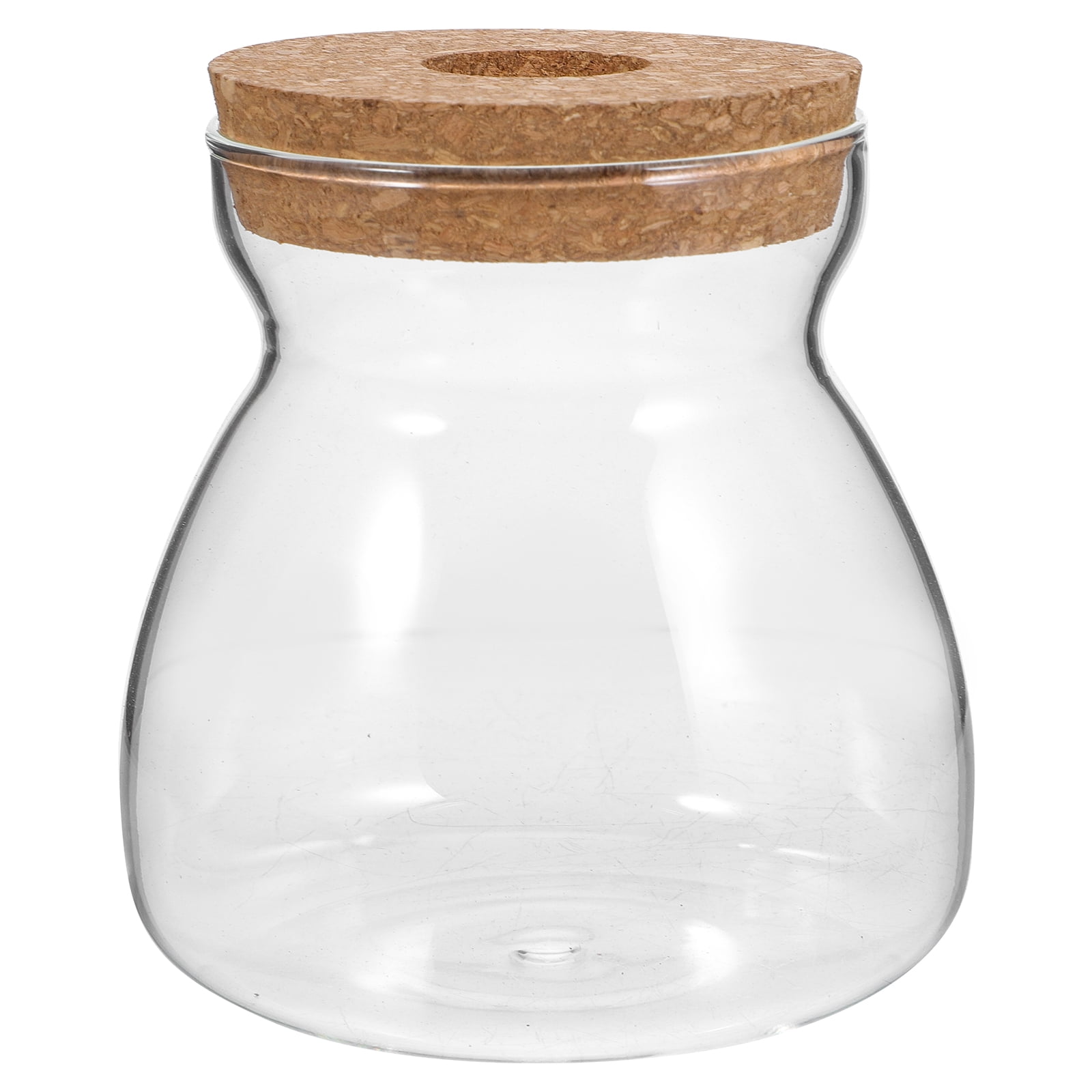 Click here for Homemaxs Terrarium Jar Glass Terrarium Hydroponic... prices