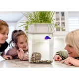 Back to the Roots 3 Gal. Self-Cleaning Aquaponic Water Garden Fish Tank ...