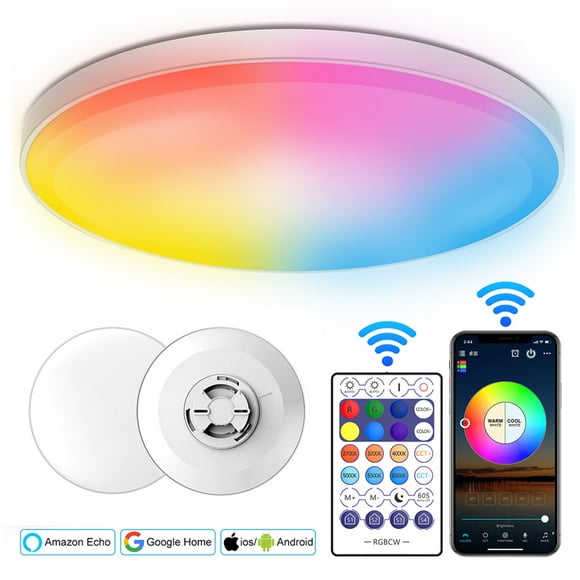 Remote Controlled Ceiling Light Fixture