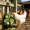 5pcs Chicken Vegetable Hanging Feeder, TSV Reusable Poultry String Bag ...