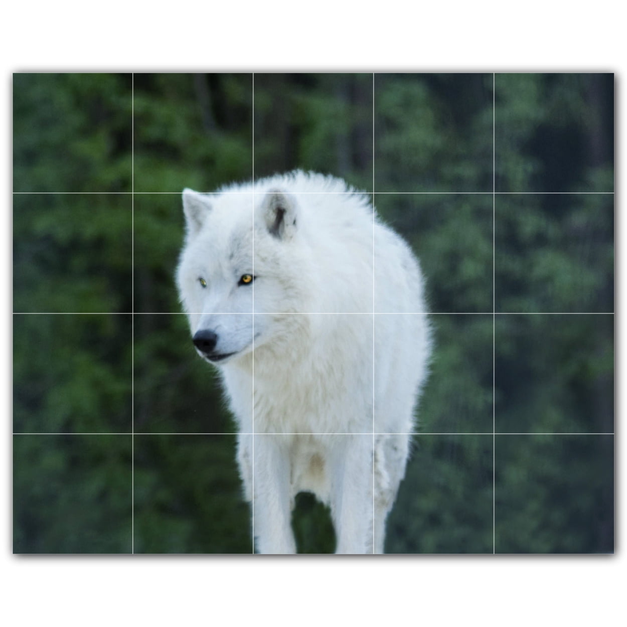 Picture-Tiles.com: Wolf Ceramic Tile Wall Mural WAL501237-54M. 30"W x ...