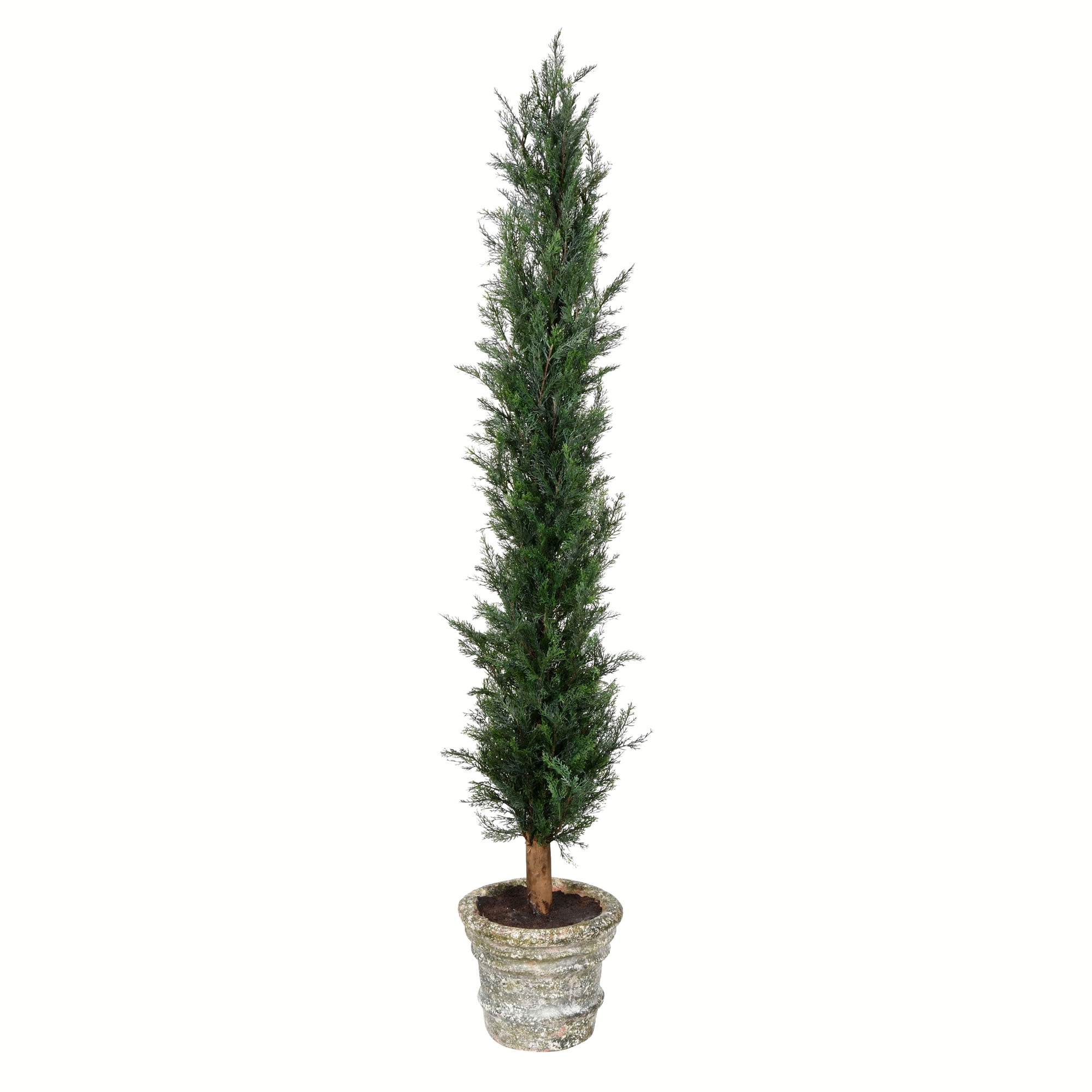 Vickerman 60" Artificial Potted Cedar Tree in Paper Pot. - Walmart.com