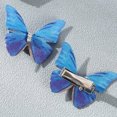 5PCS Butterfly Barrette Side Hair Clip For Women Girl Birthday Gift ...