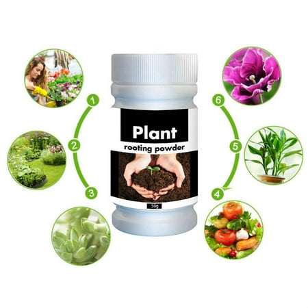 Quick Rooting Powder Fast Plant Flower Rooting Powder Rooting Powder ...