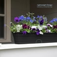 Bloem Dura Cotta 24" Black Resin Rectangle Window Box Planter with ...