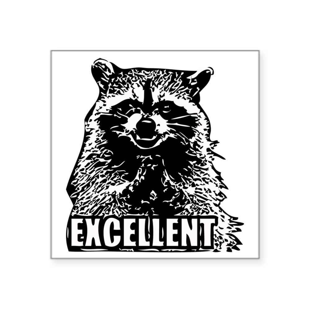 Excellent Raccoon