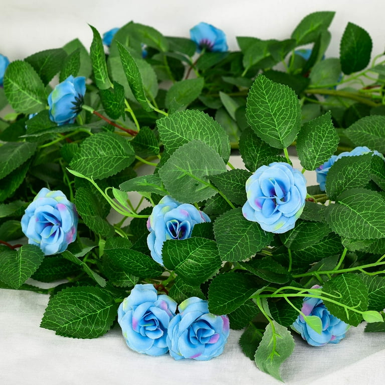 Blue Rose Vine