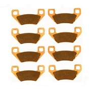Cat Spec