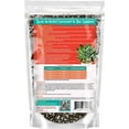 Premium Organic Succulent Potting Mix – Well-Draining Indoor Plant Soil ...