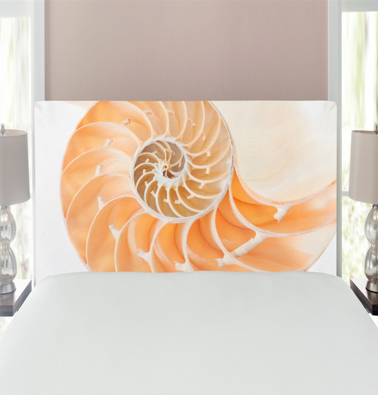 Geometry Headboard, Nautilus Shell Showing the Chambers in Distance ...