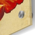 Epic Art 'Parrot Tulip I' by Tim O'Toole, Acrylic Glass Wall Art, 36 ...
