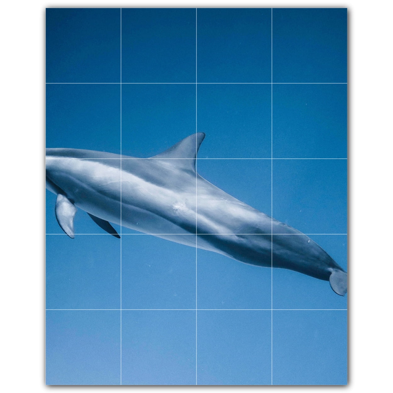 Picture-Tiles.com: Dolphin Ceramic Tile Wall Mural WAL500514-45L. 32"W ...