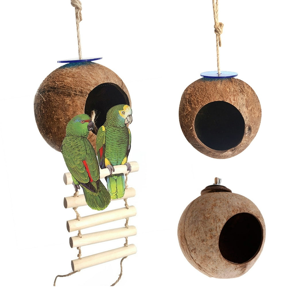 SPRING PARK Coconut Bird Nest Hut with Ladder for Parrots Parakeet ...