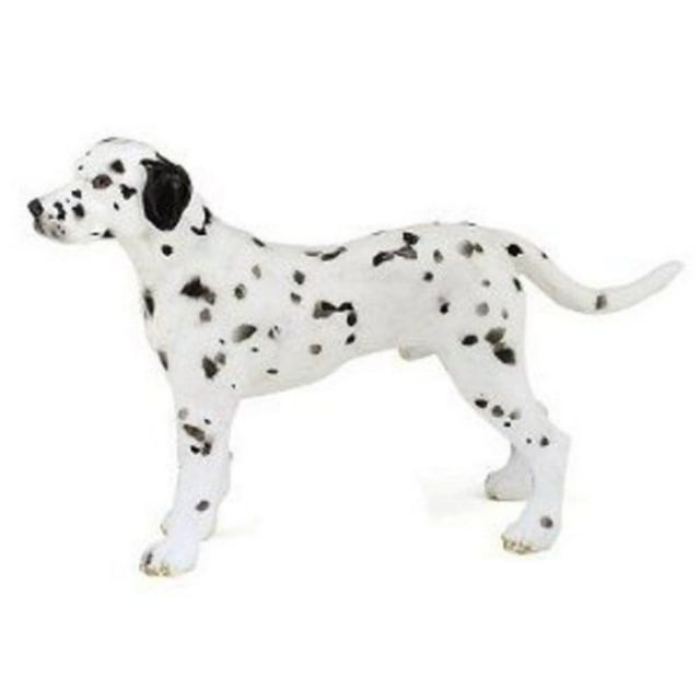 Dalmation - Walmart.com