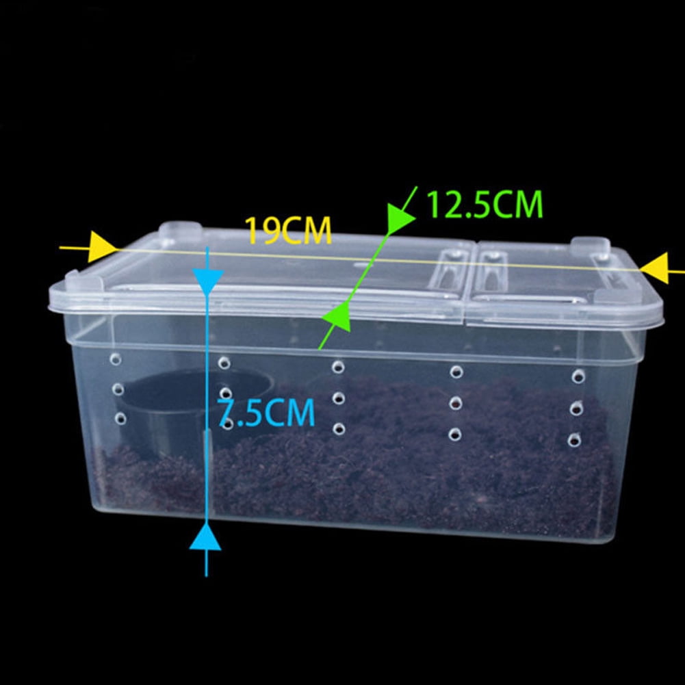 RONSHIN Transparent Feeding Box Reptile Box Amphibian for Snake Cage ...