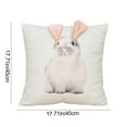 BVEBJDX Rabbits Pillow Cover Easter Living Room Sofa Bedroom Small ...