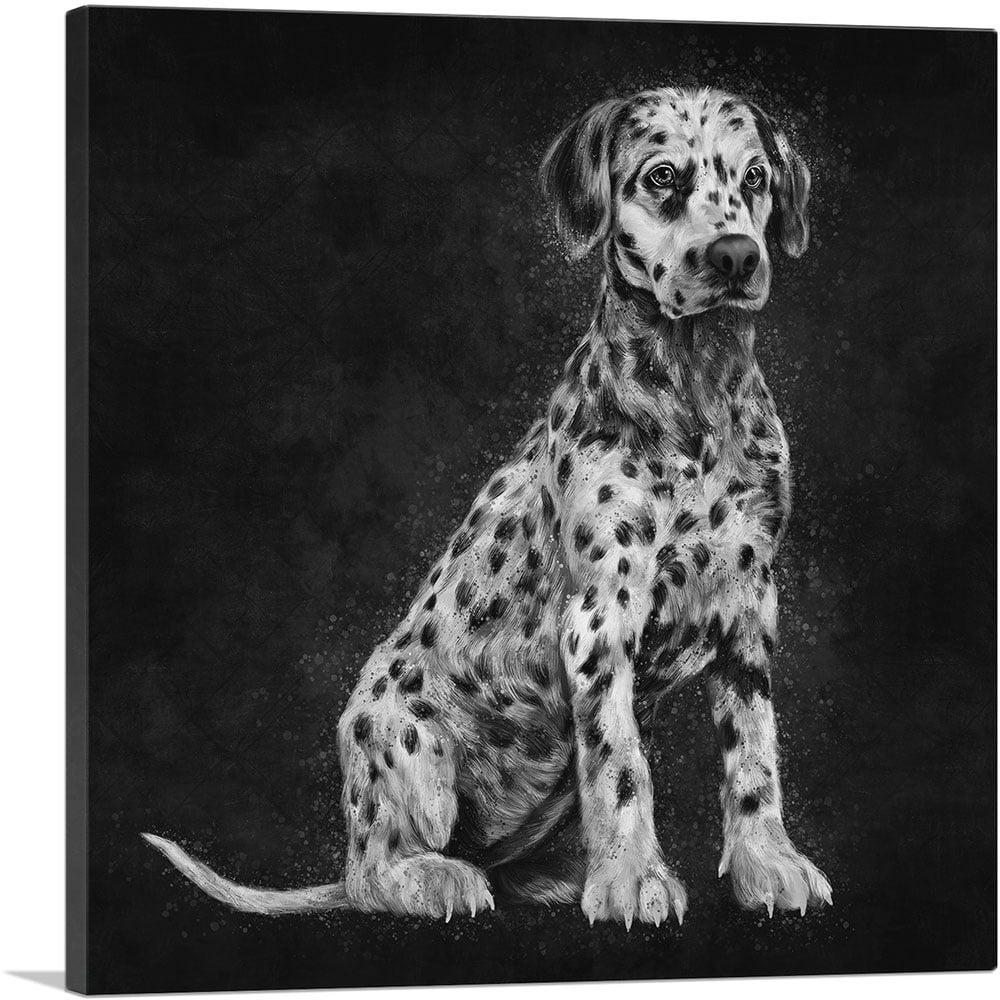 ARTCANVAS Dalmatian Dog Puppy Spots Black White Spots Canvas Art Print ...